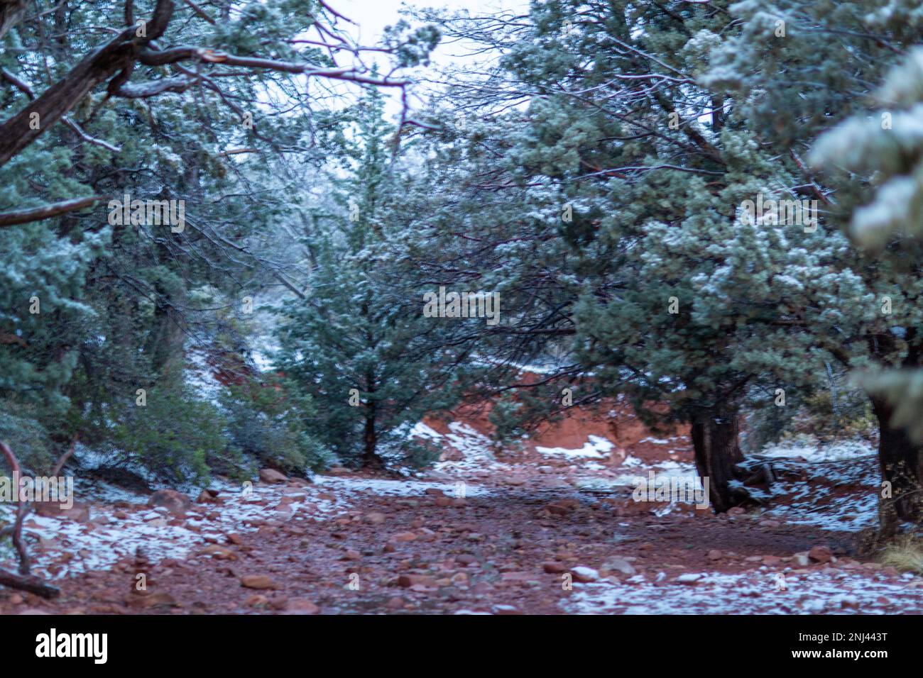 Snow In Sedona Stock Photo - Alamy