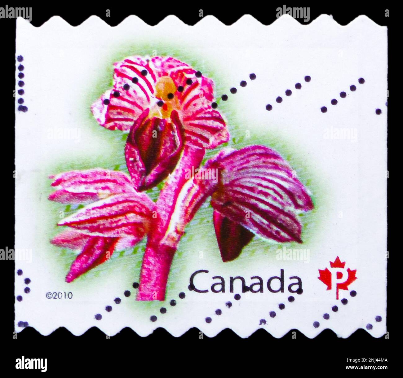 MOSCOW, RUSSIA - FEBRUARY 15, 2023: Postage stamp printed in Canada ...