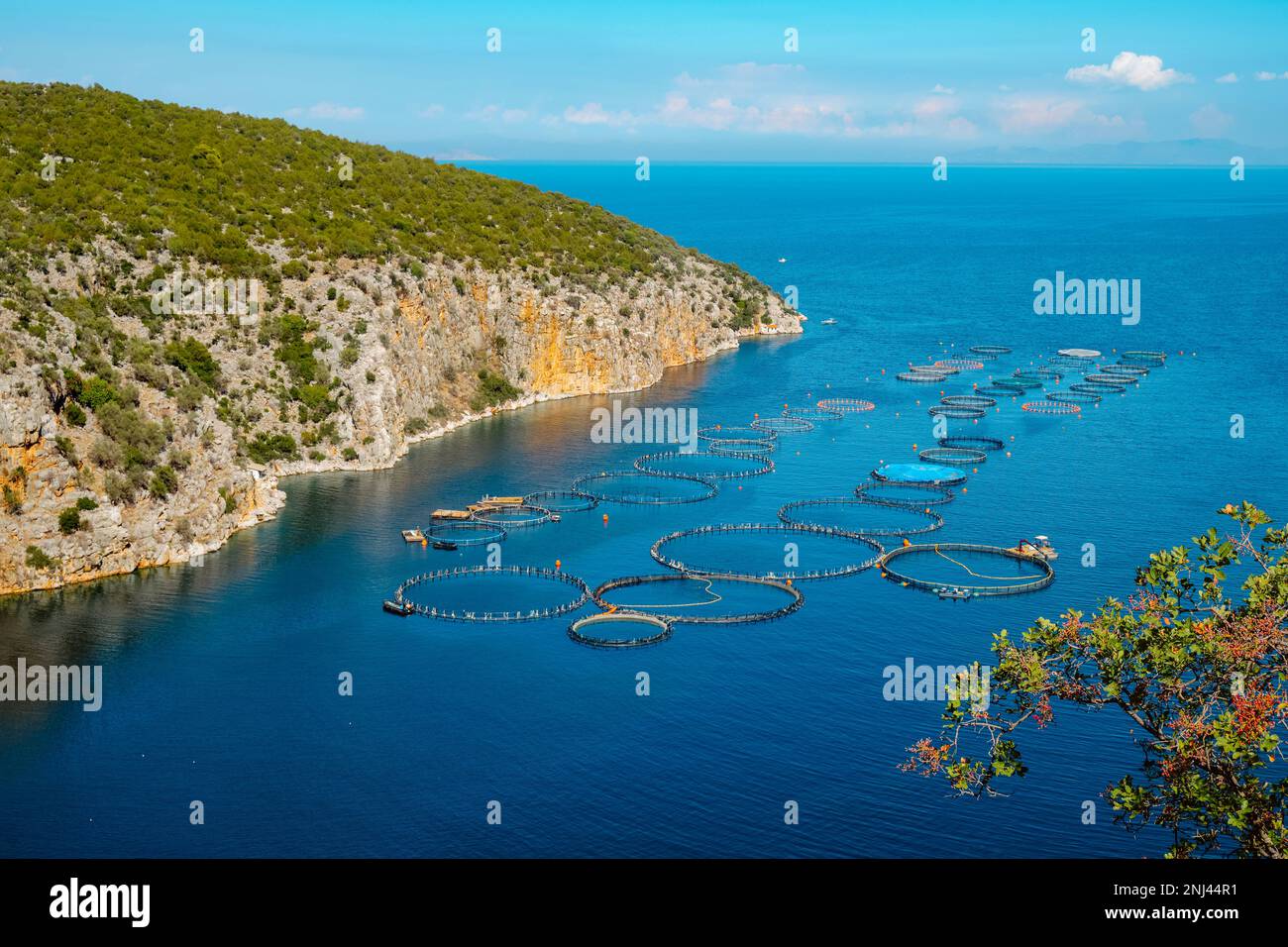 Solygeia hi-res stock photography and images - Alamy