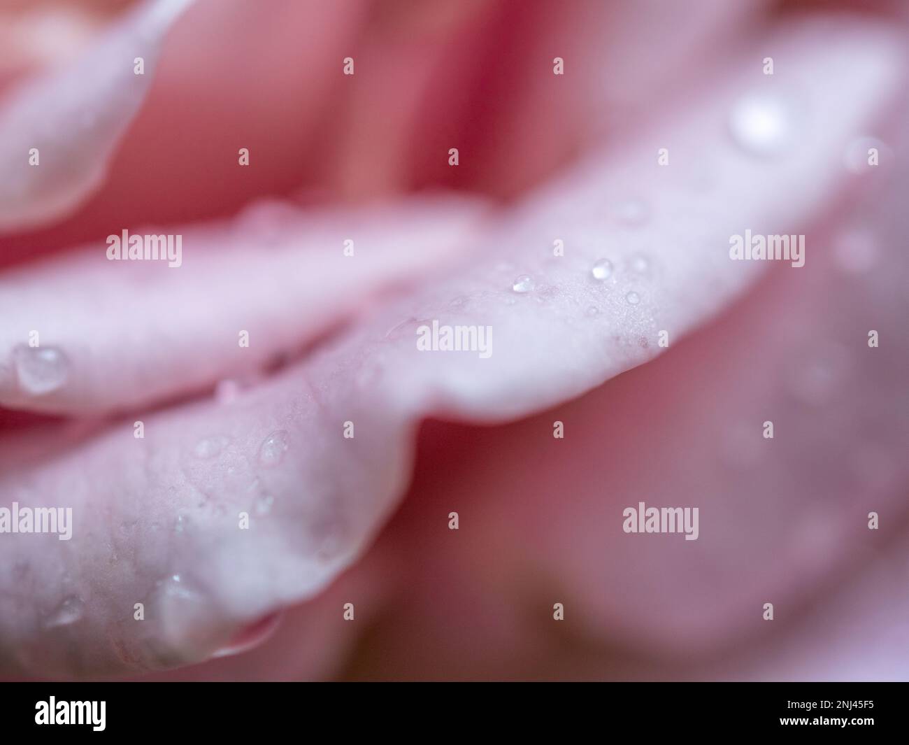 Pastel loco hi-res stock photography and images - Alamy