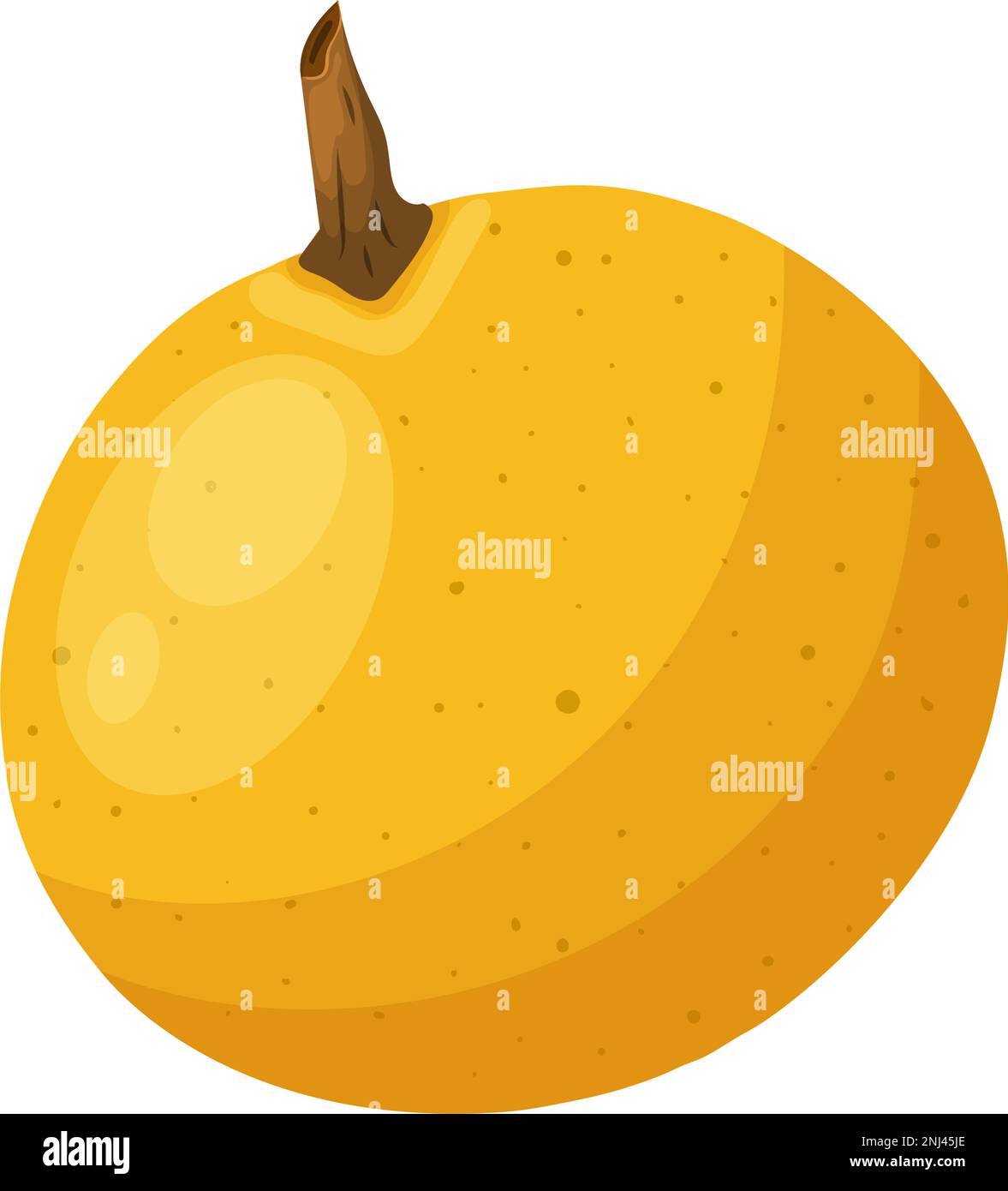 longan fruit cartoon vector illustration color sign Stock Vector Image ...