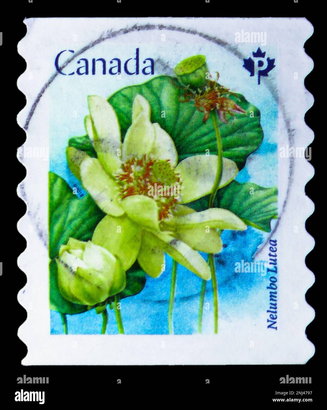 MOSCOW, RUSSIA - FEBRUARY 15, 2023: Postage stamp printed in Canada ...