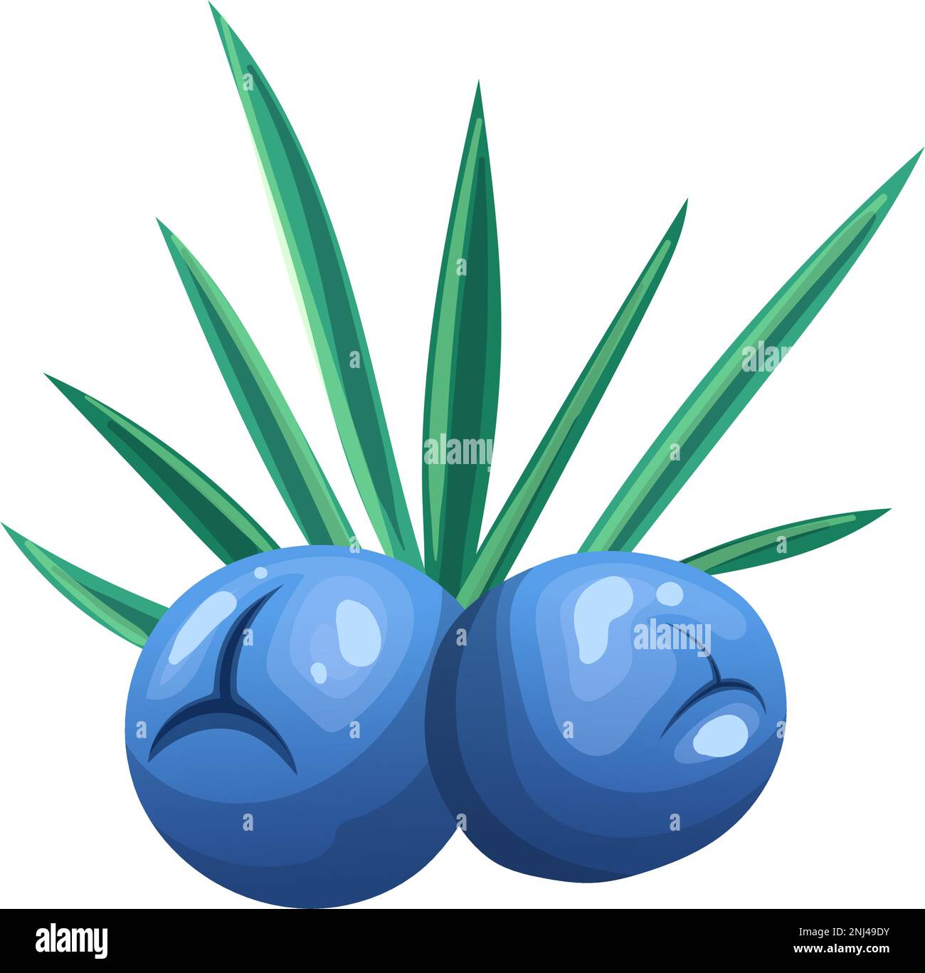 juniper branch cartoon vector illustration color sign Stock Vector ...