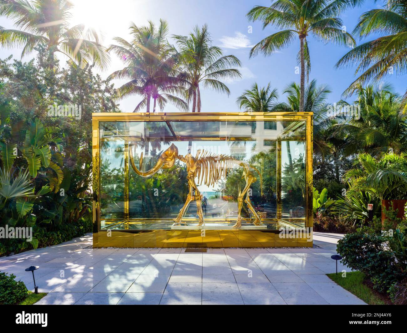 Faena miami beach hi-res stock photography and images - Alamy