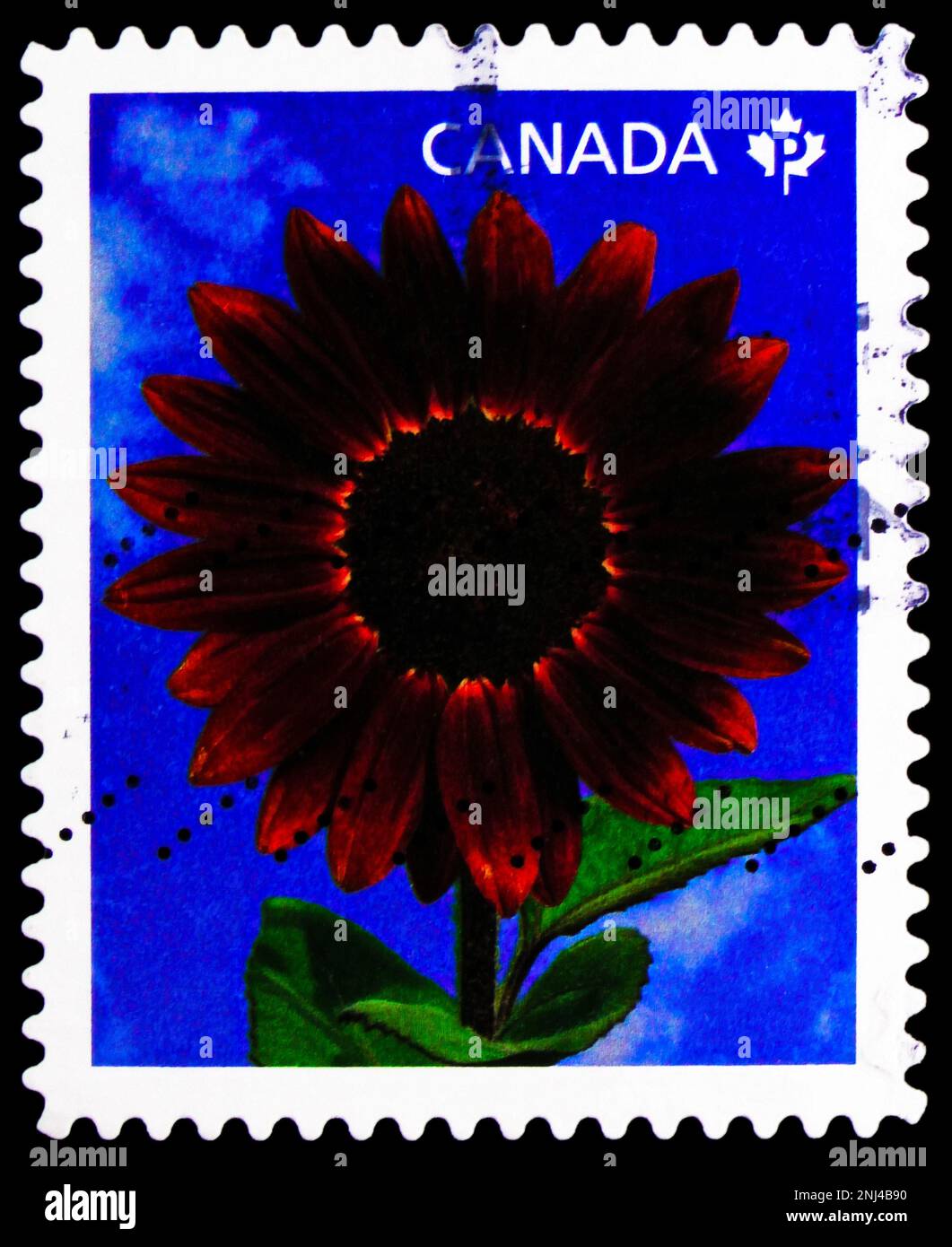 MOSCOW, RUSSIA - FEBRUARY 15, 2023: Postage stamp printed in Canada ...