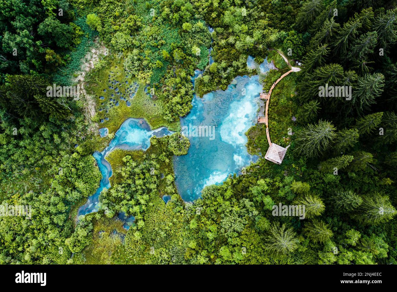 Aerial view of blue lakes with underground springs in forest area with ...