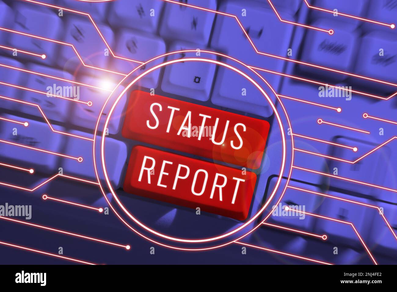 Conceptual display Status Report. Business showcase Update Summary of ...