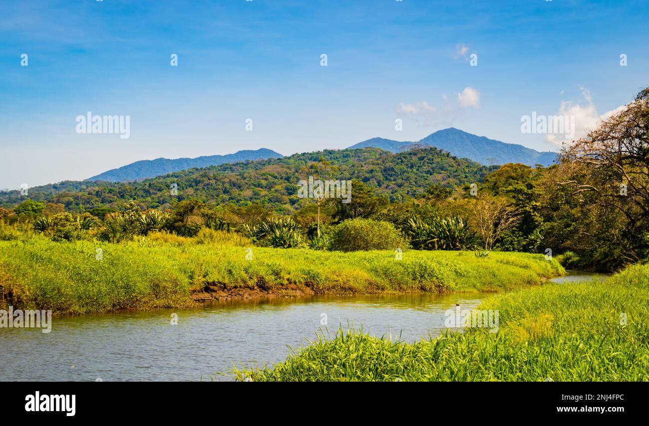 river in the Costa Rican landscape Stock Photo - Alamy