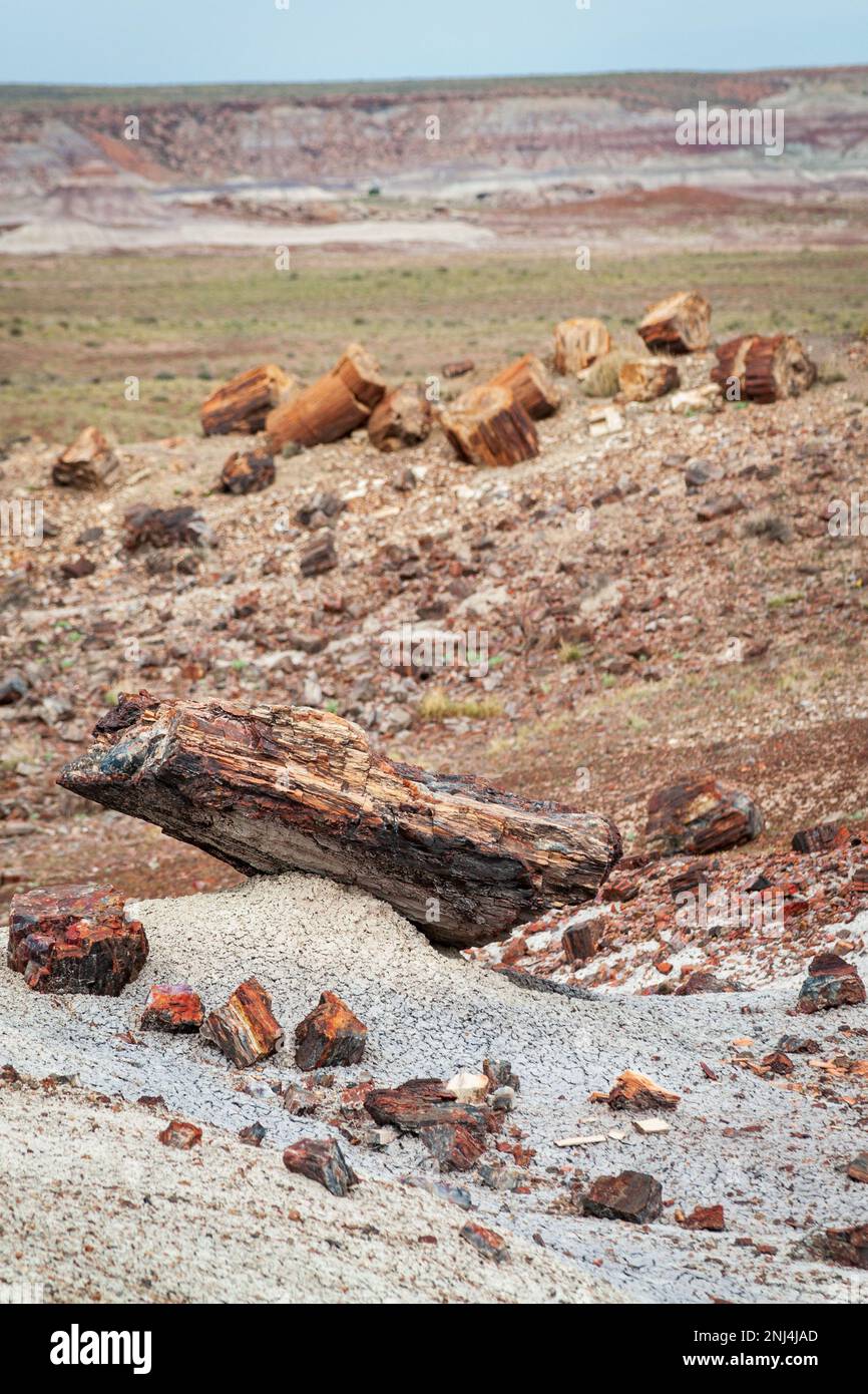 Earth national natural treasure hi-res stock photography and images - Alamy