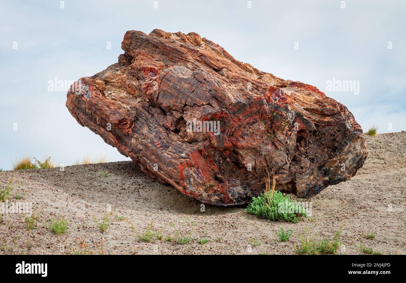 Earth national natural treasure hi-res stock photography and images - Alamy