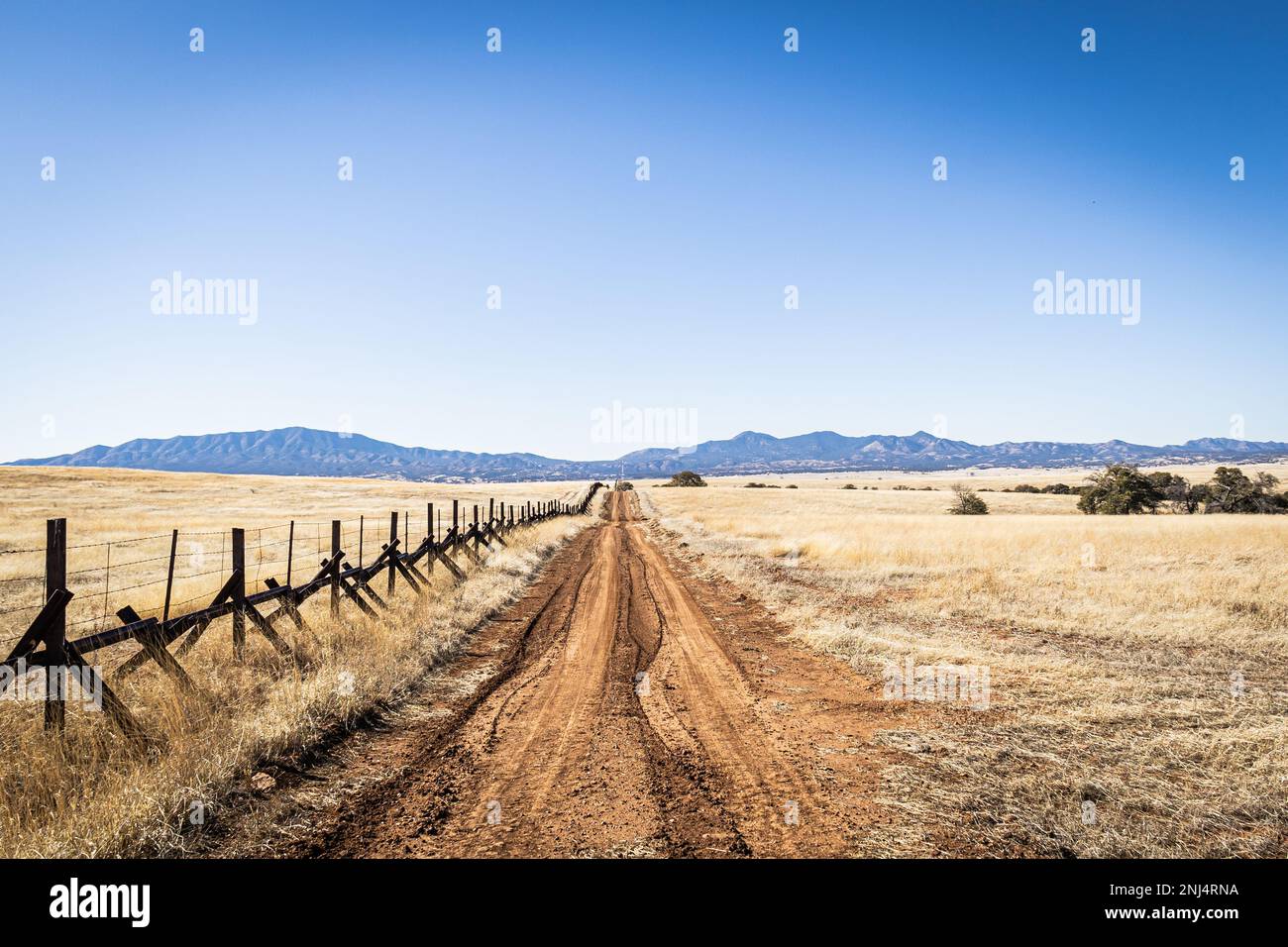 A lonely dirt road through the grasslands along the border between the ...