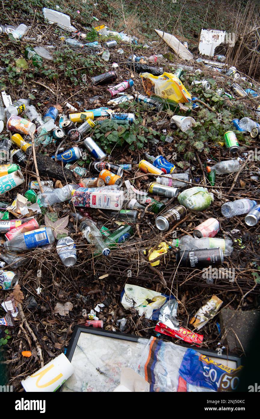Chalvey, Slough, Berkshire, UK. 22nd February, 2023. Empty beer cans ...