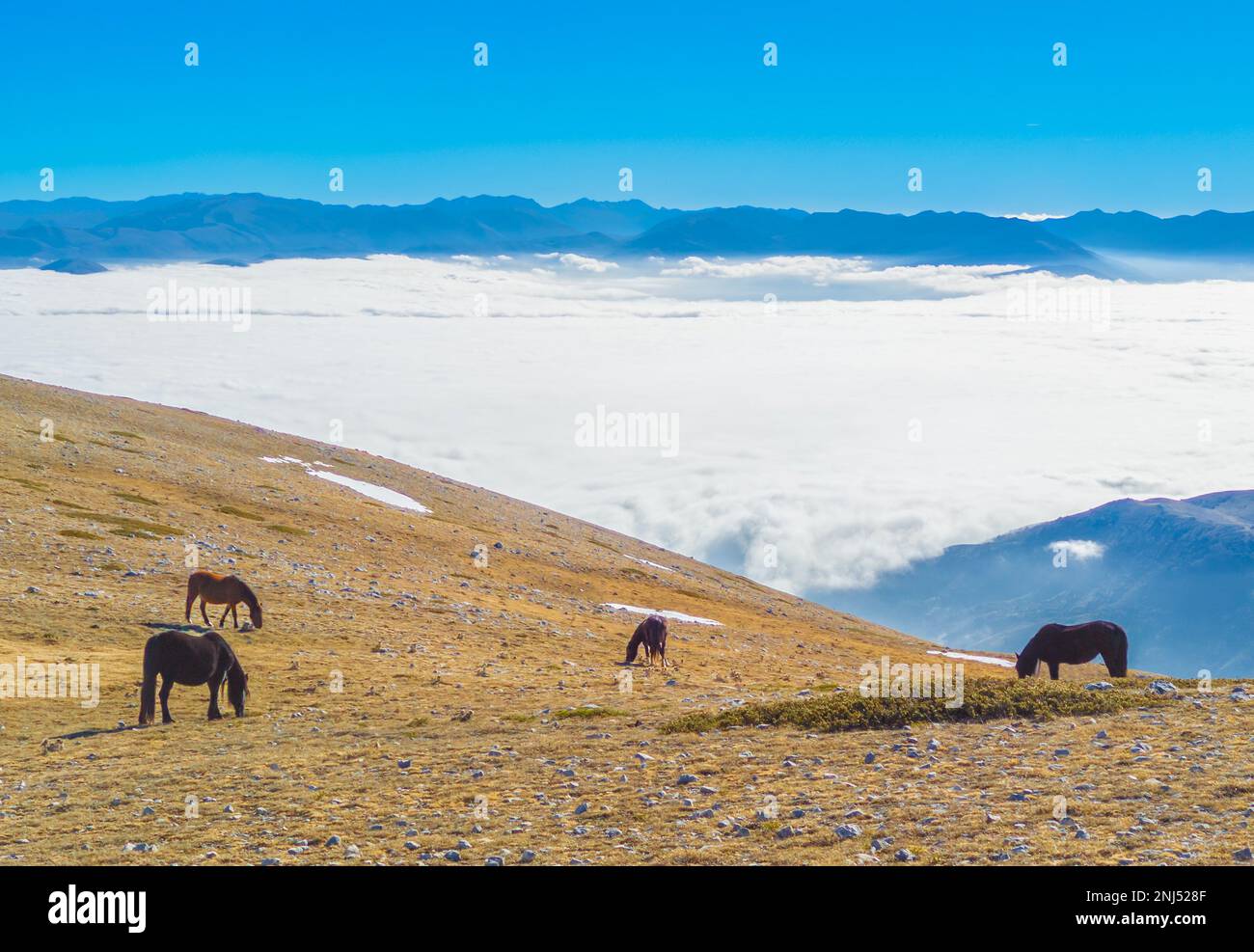 Ovindoli (Abruzzo, Italy) - The Monte della Magnola is a imponent and ...