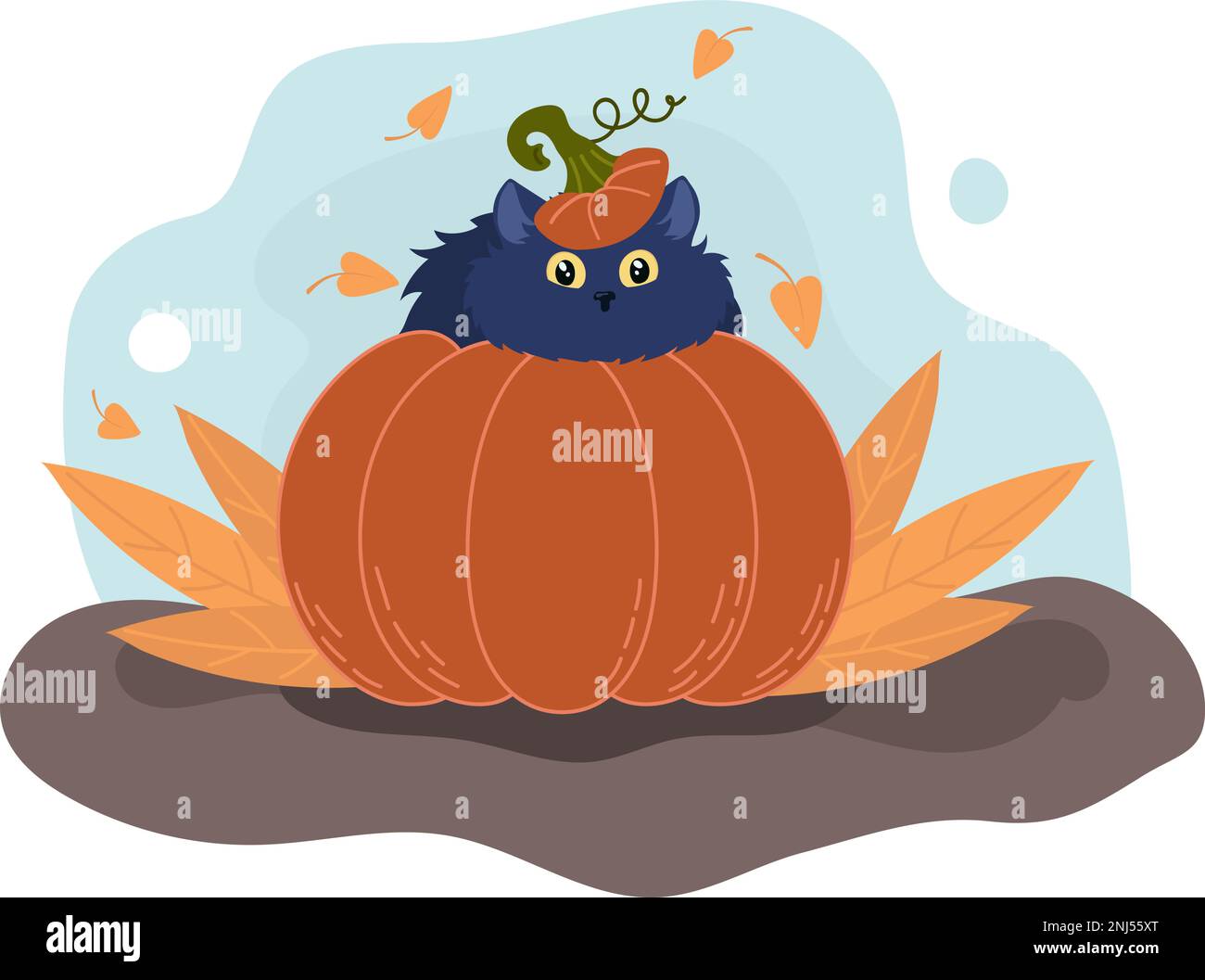 Domestic cat in autumn Cut Out Stock Images & Pictures - Alamy