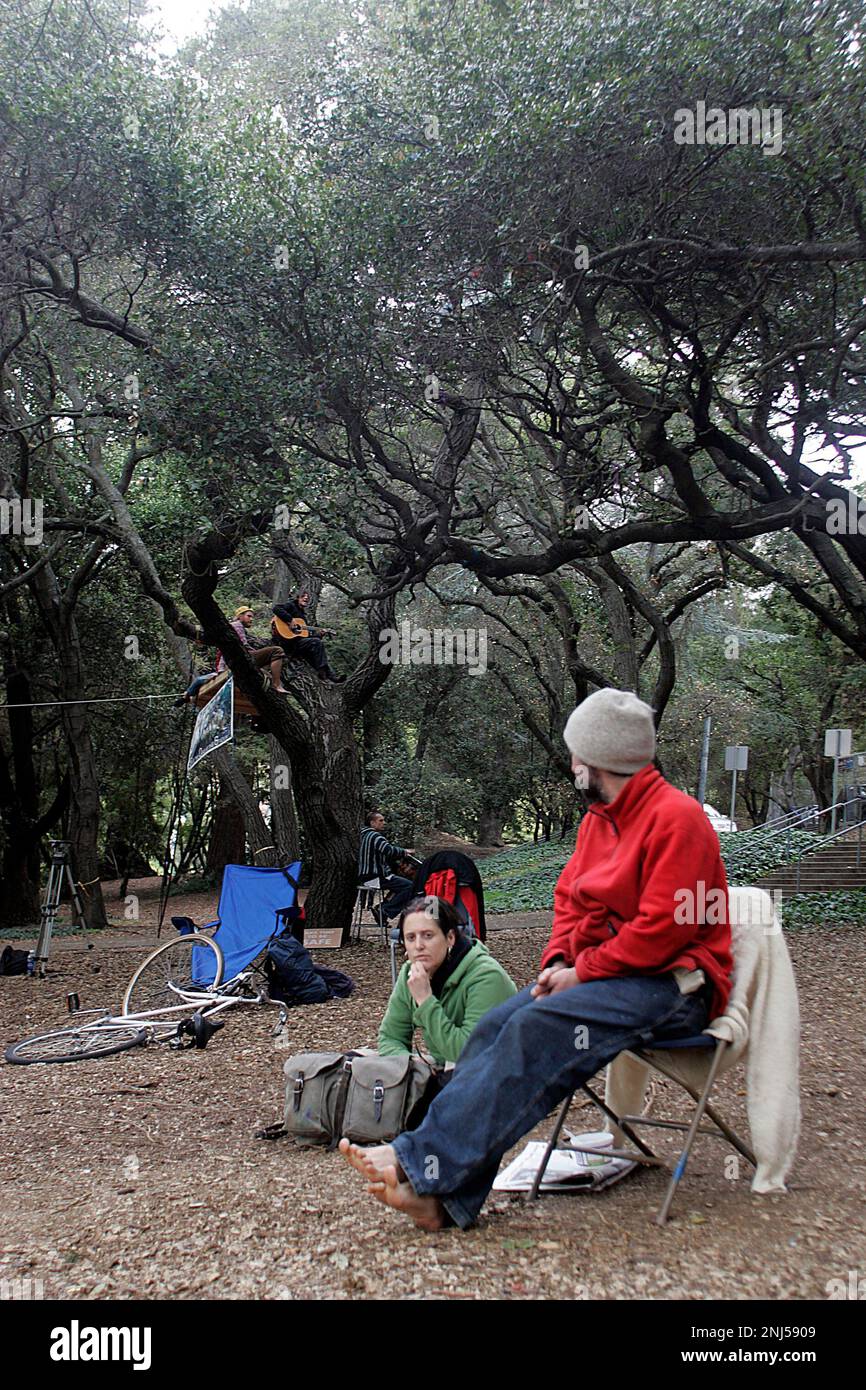 TREESIT 055 LH.JPG The tree-sit continues in Berkeley despite a judge ...