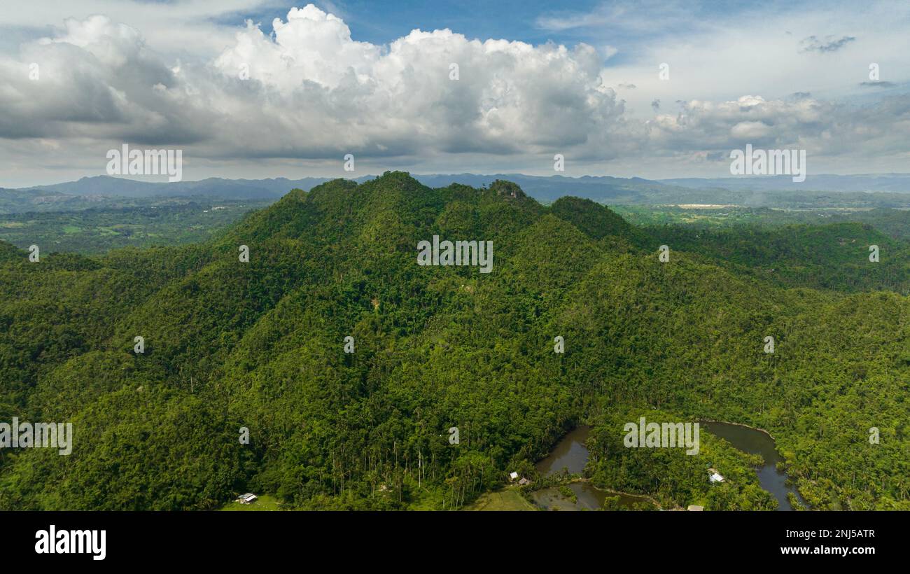 Aerial view of green forest in the mountains and jungle hills in the ...