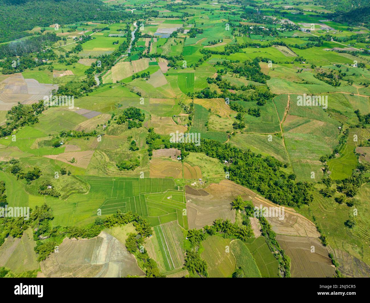 Agricultural landscape with farmland and sugarcane plantations. Negros ...