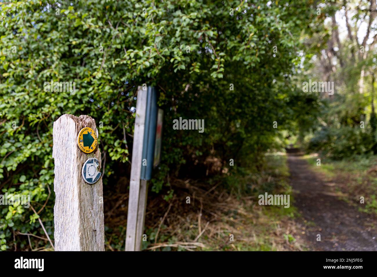 Hemel Hempstead, local area photography Stock Photo - Alamy