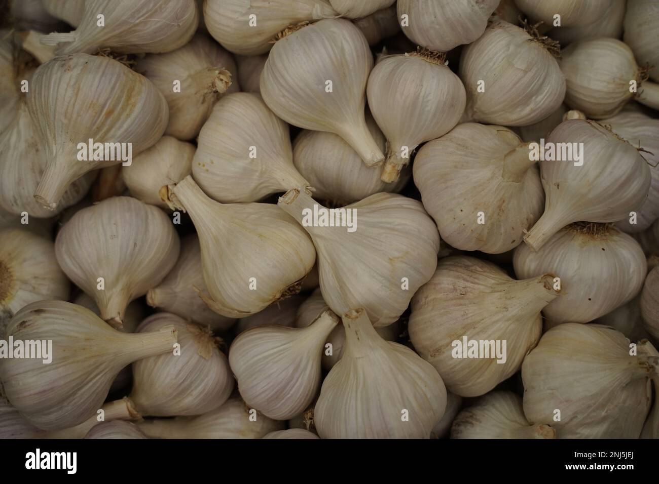 Garlic texture close up. White garlic background Stock Photo - Alamy