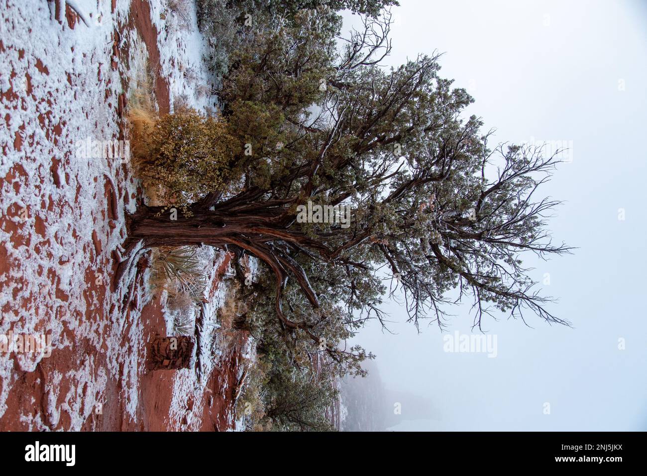 Snow In Sedona Stock Photo - Alamy