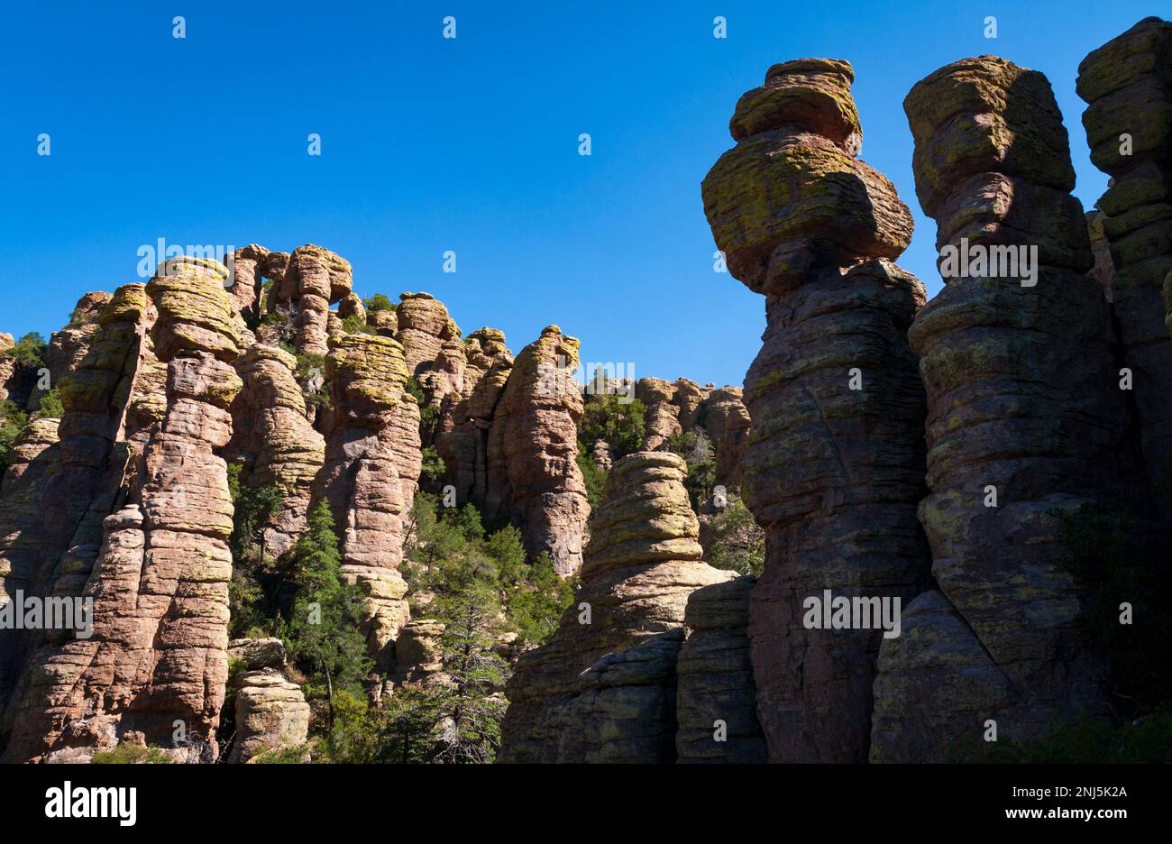 Hoodoos and massive boulders at Chiricahua National Monument Stock ...