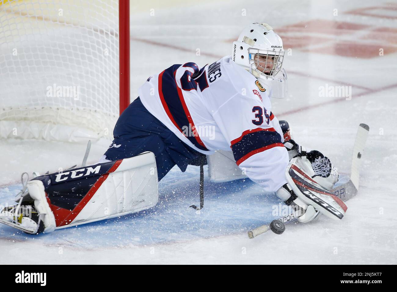 Regina Pats goalie Koen MacInnes during WHL (Western Hockey League) hockey action against the ...