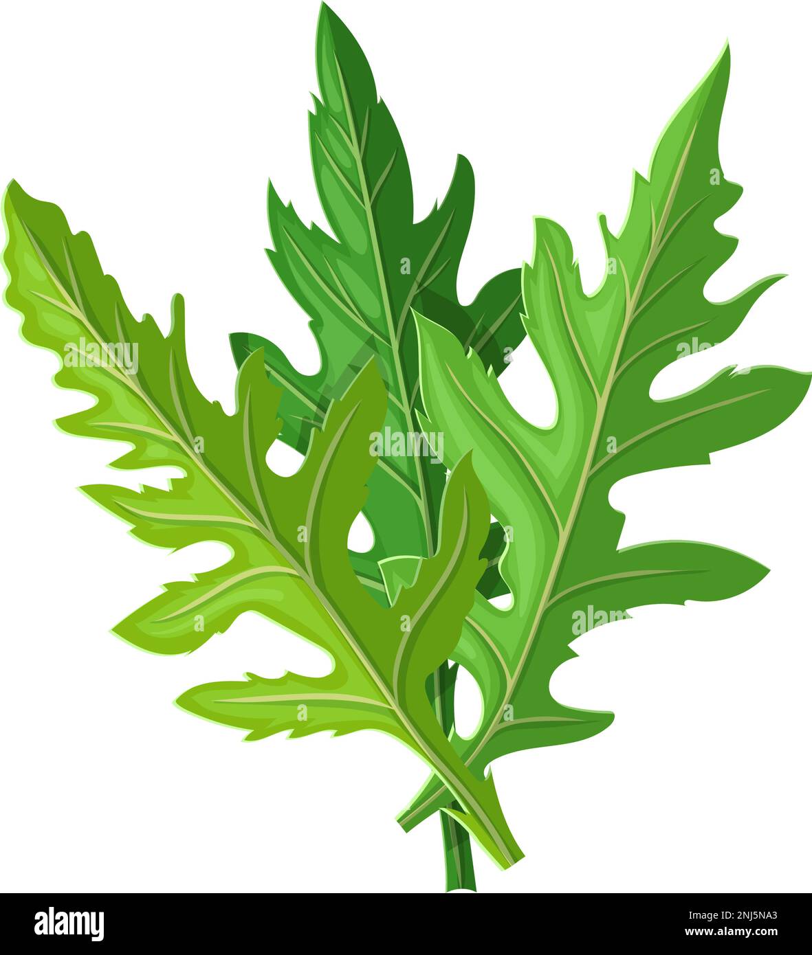 arugula ingredient cartoon vector illustration color sign Stock Vector ...