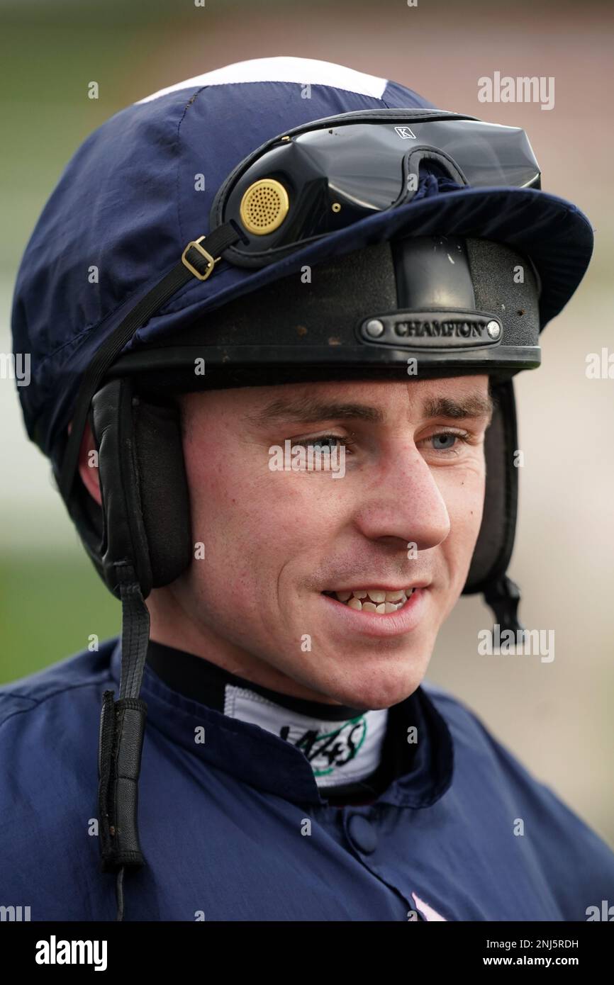 Boldmere horse hi-res stock photography and images - Alamy
