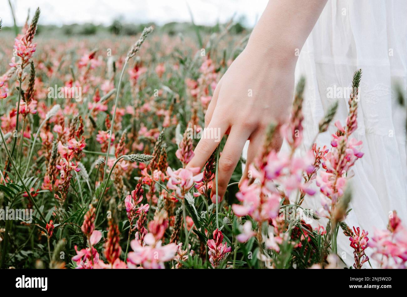 Young girl hand touching plant hi-res stock photography and images - Alamy
