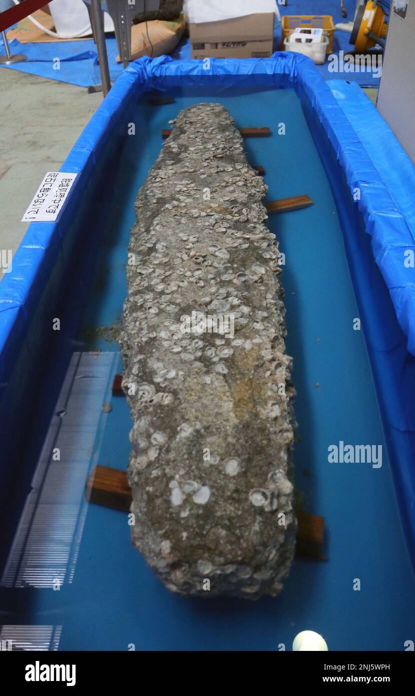 An ancient anchor stone which was discovered is opened to public at a museum in Matsuura City ...
