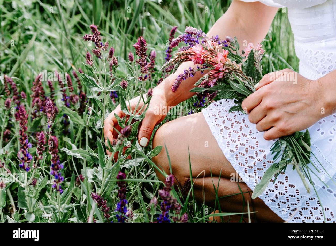 Hands of woman picking up wild flowers into a bouquet Stock Photo - Alamy