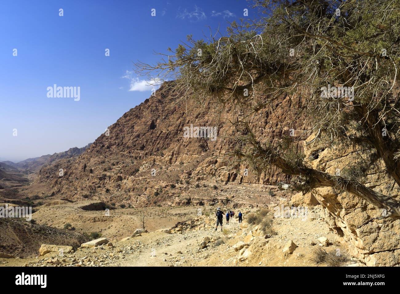 Walkers in the Dana Biosphere Reserve, Wadi Dana, south-central Jordan ...
