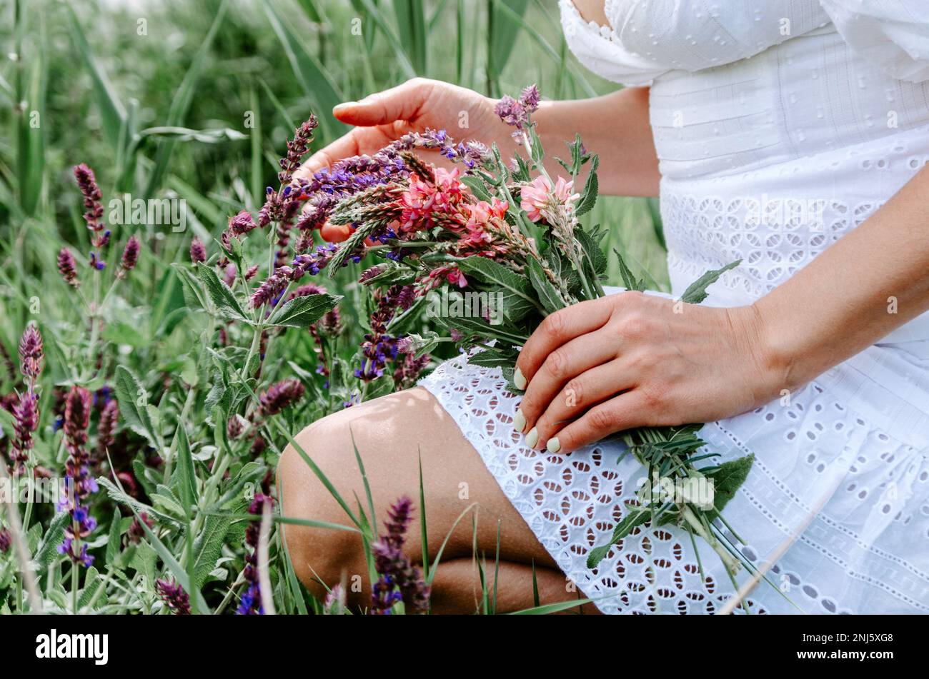 Hands of woman picking up wild flowers into a bouquet Stock Photo - Alamy