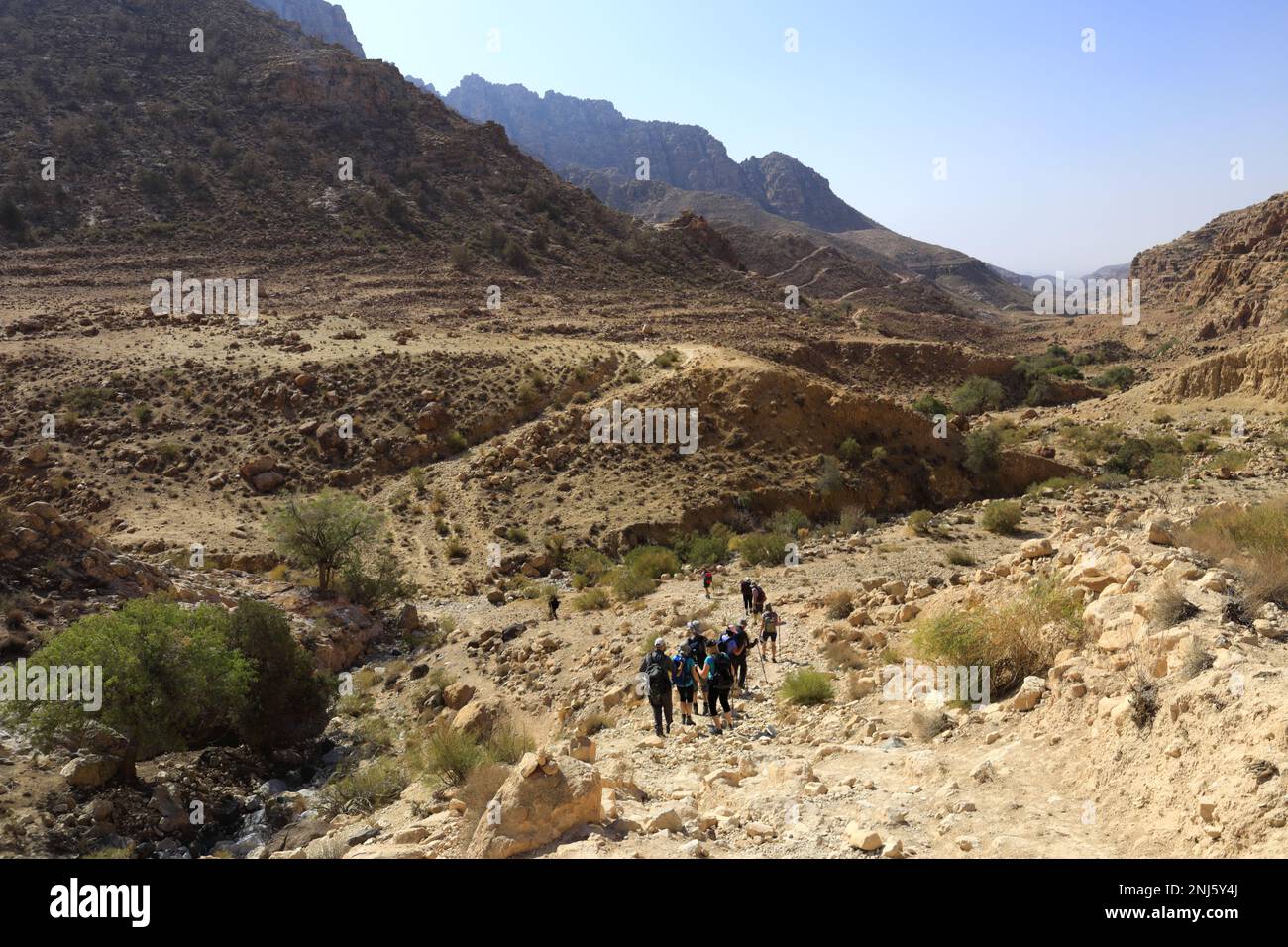 Walkers in the Dana Biosphere Reserve, Wadi Dana, south-central Jordan ...