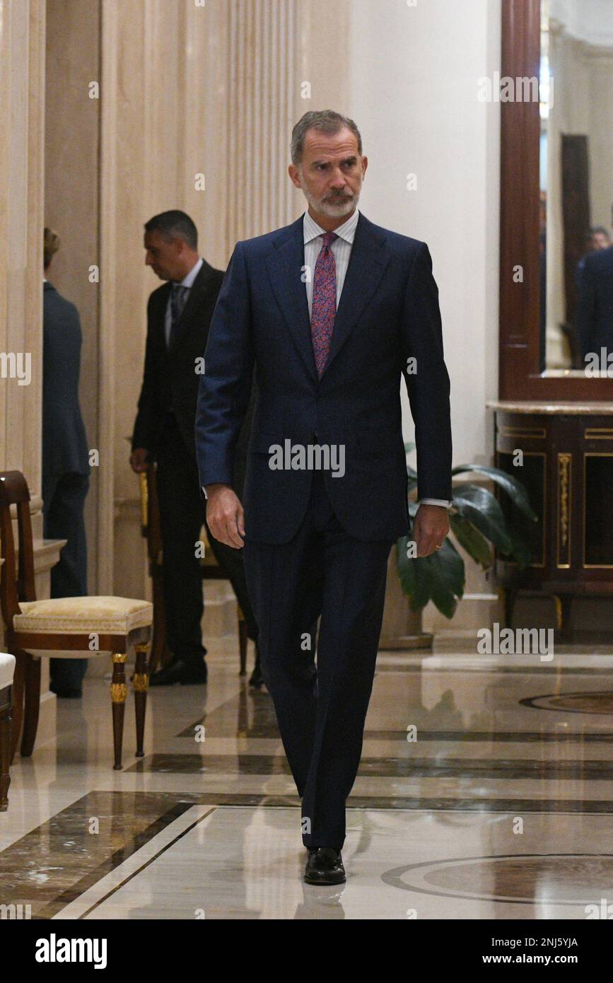 King Felipe VI receives in audience a representation of the ...