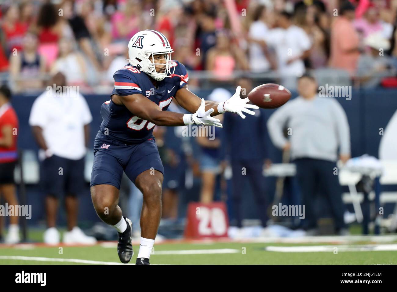 TUCSON, AZ - OCTOBER 01: Arizona Wildcats tight end Roberto Miranda #85 ...