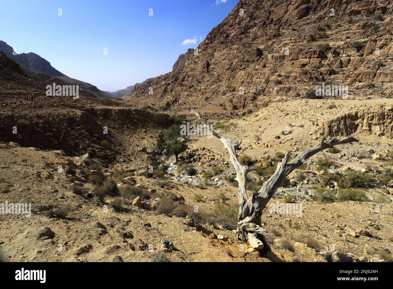 View through the Dana Biosphere Reserve, Wadi Dana, south-central ...