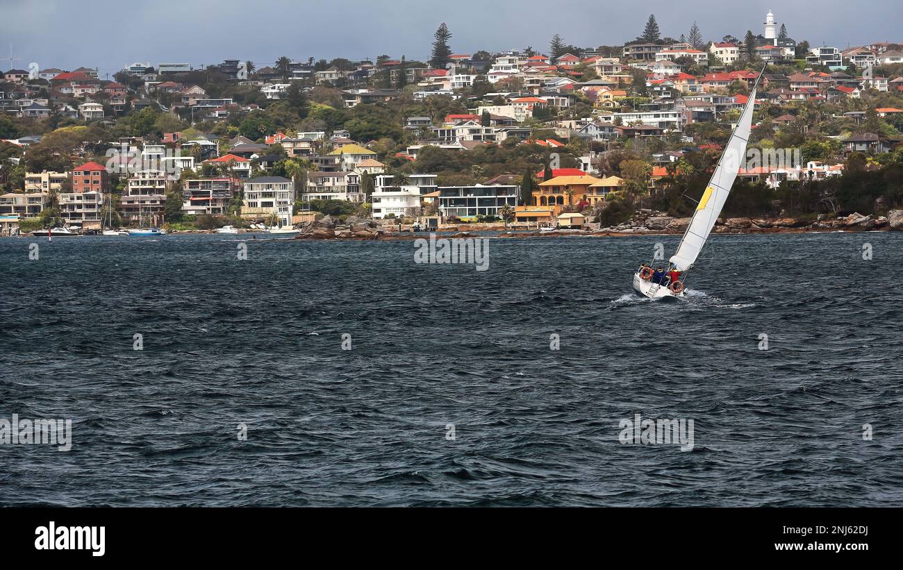 495 Sailboat heading to Watsons Bay on the South Head Peninsula of Port ...