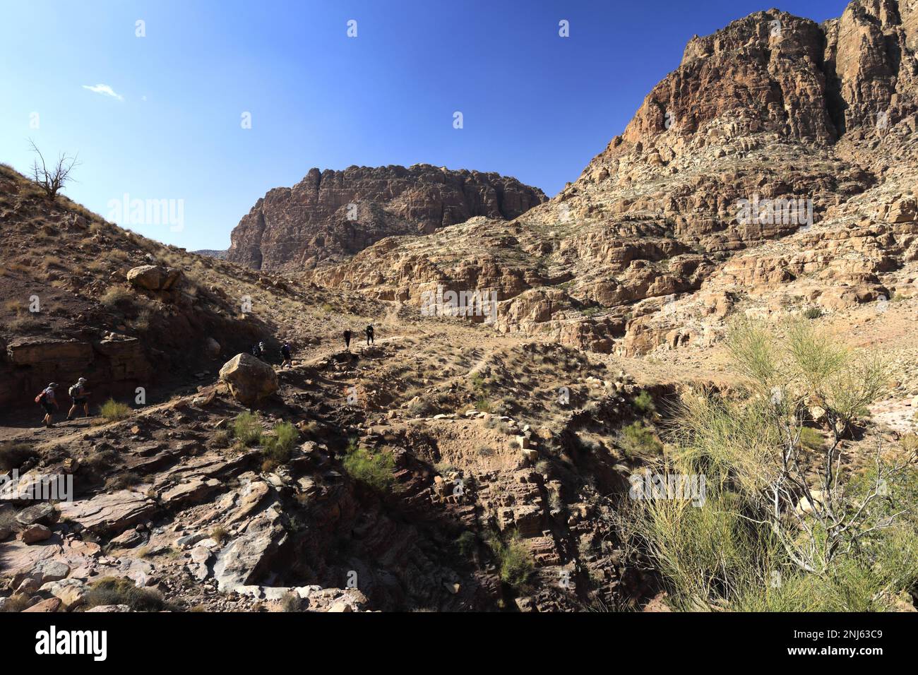Walkers in the Dana Biosphere Reserve, Wadi Dana, south-central Jordan ...