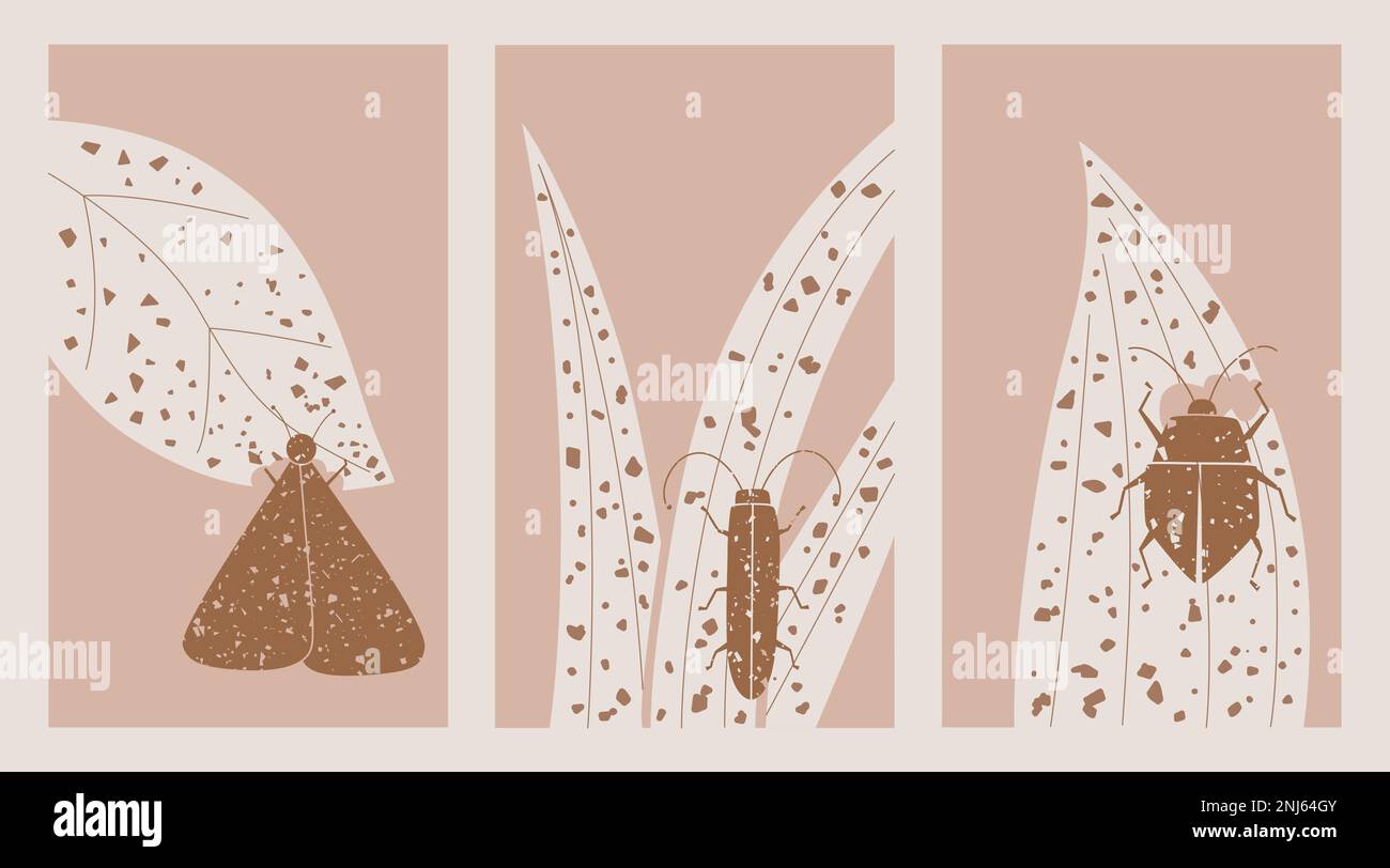 Pastel colors posters collection with grunge butterfly, moth, bug ...