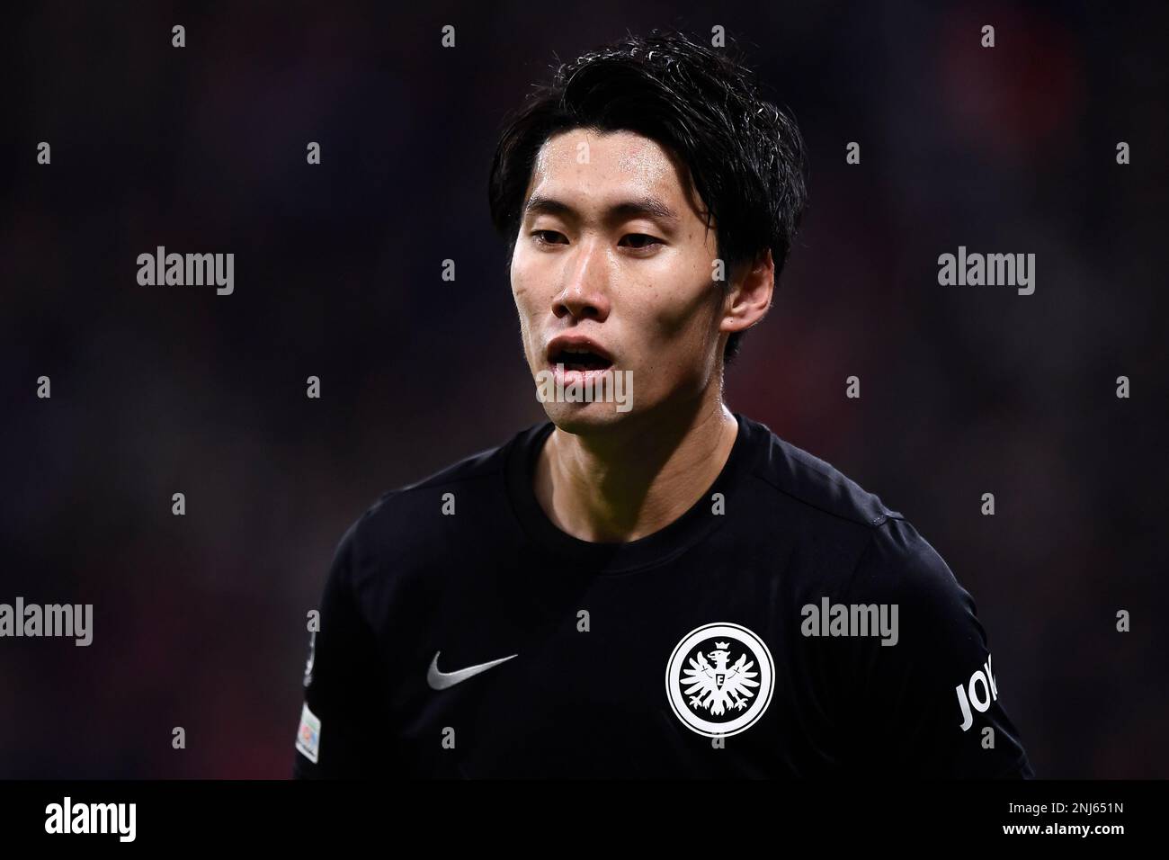 Kamada frankfurt hi-res stock photography and images - Alamy