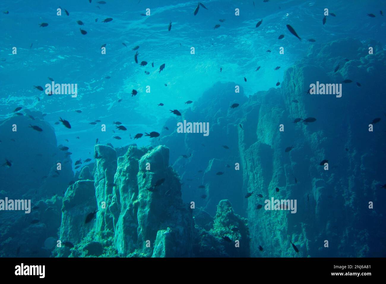 Mystical looking image of an underwater world where fish and rocks can ...