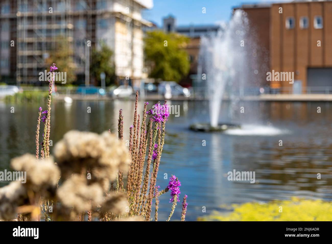 Hemel Hempstead, local area photography Stock Photo - Alamy