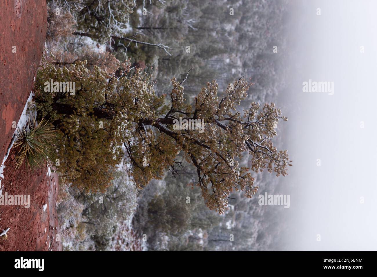 Snow In Sedona Stock Photo - Alamy