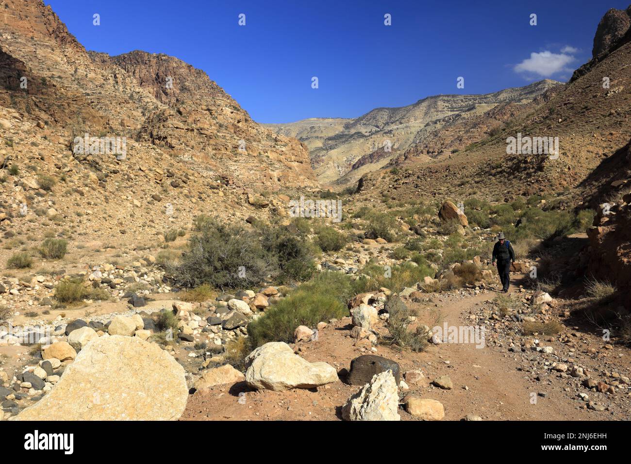Walkers in the Dana Biosphere Reserve, Wadi Dana, south-central Jordan ...