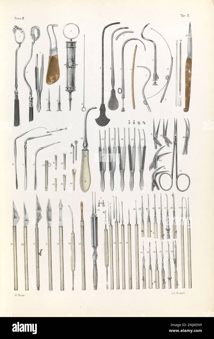 Victorian anatomical drawing hi-res stock photography and images - Alamy