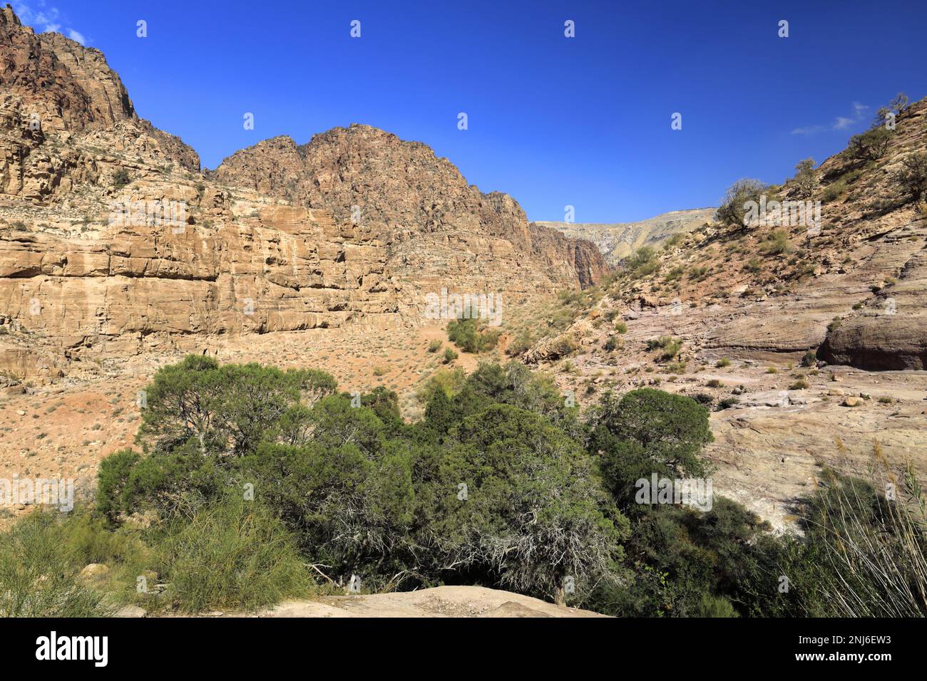 View through the Dana Biosphere Reserve, Wadi Dana, south-central ...