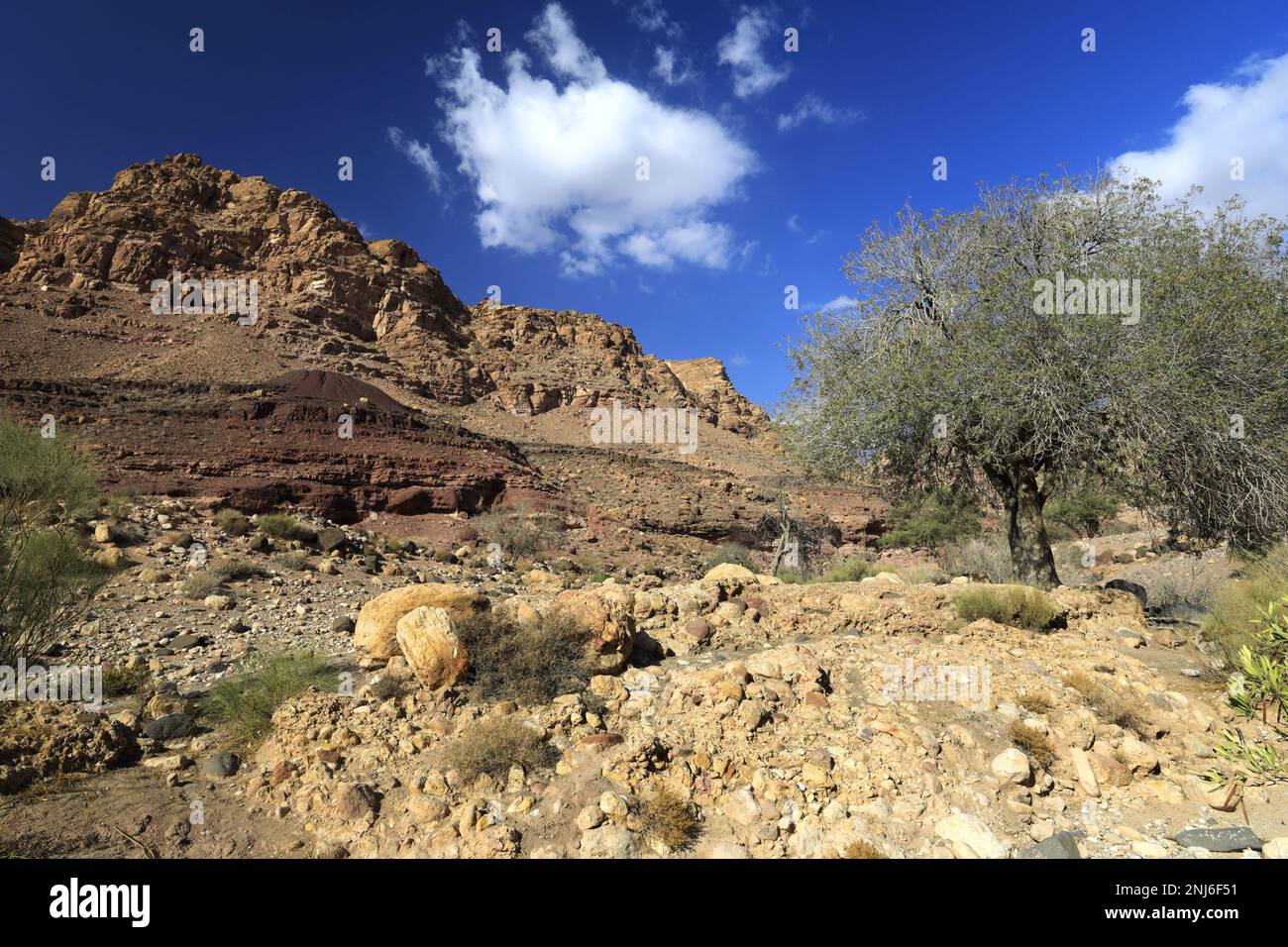 View through the Dana Biosphere Reserve, Wadi Dana, south-central ...
