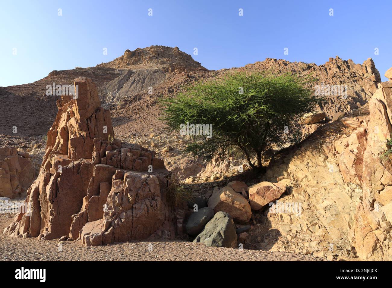 View through the Dana Biosphere Reserve, Wadi Dana, south-central ...