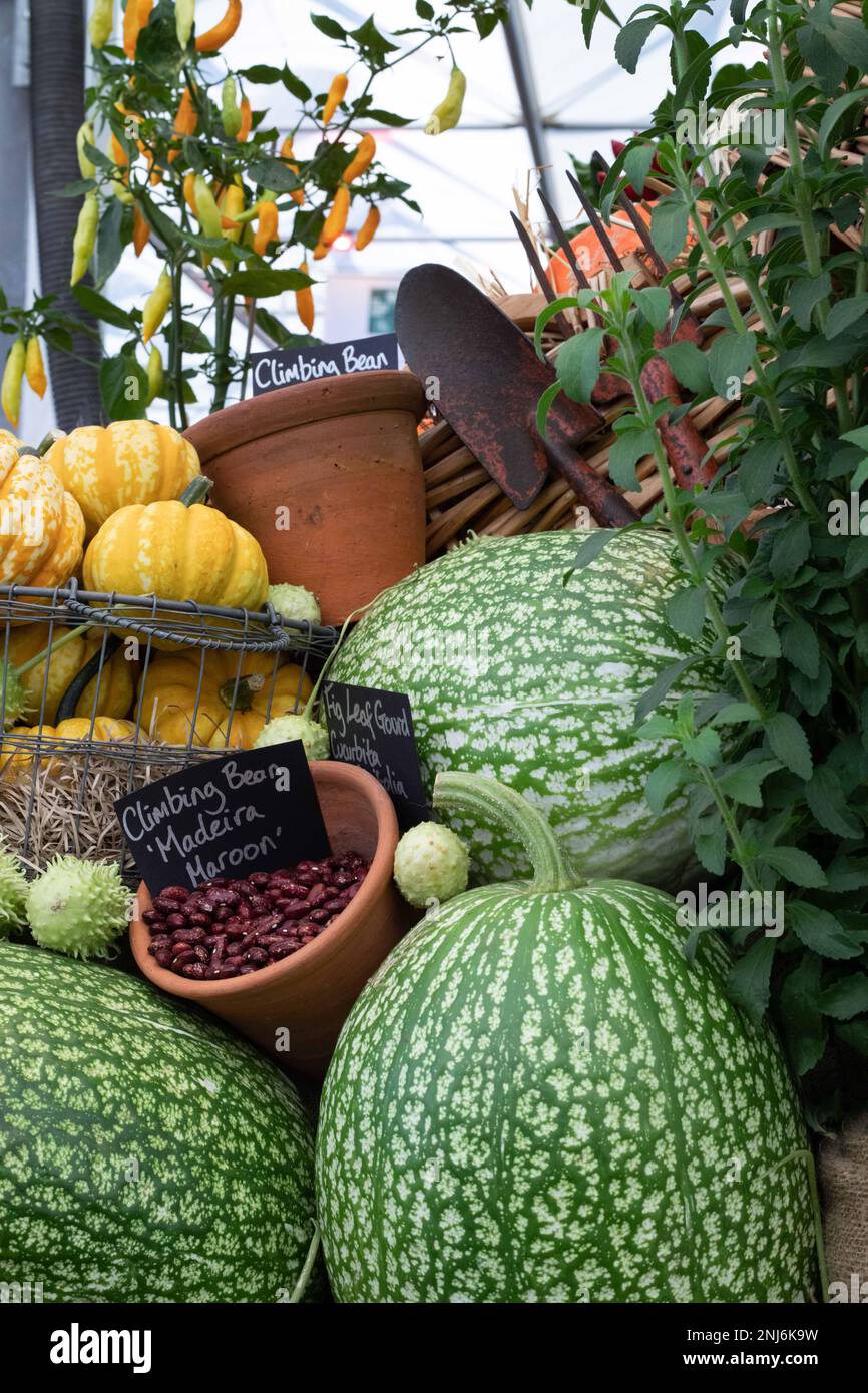 A display of field pumpkins, gourds and chillies in pots at the Chelsea ...